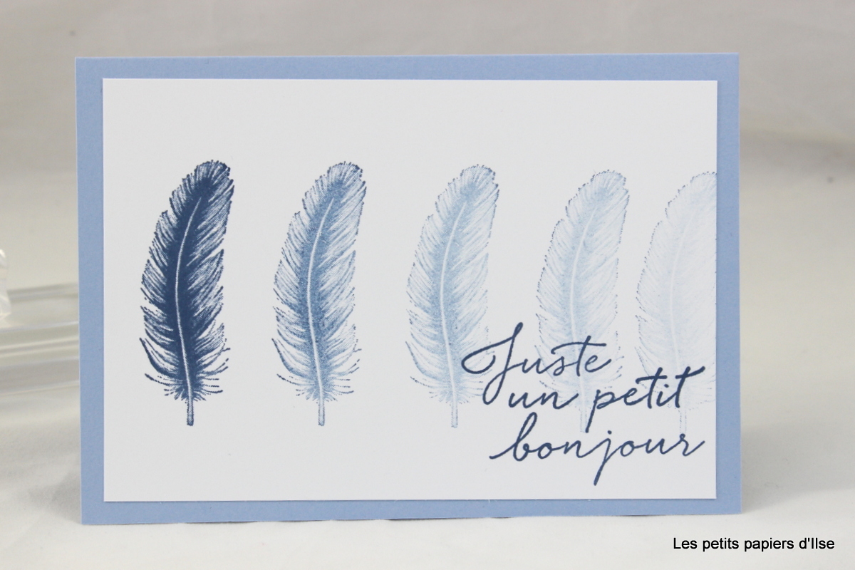 Carte simple à la plume - Les petits papiers d'Ilse