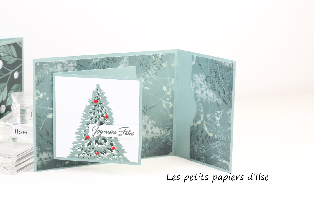 Une carte cadeau surprise très simple - Les petits papiers d'Ilse