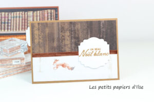 Carte simple avec 2 papiers décorés - Les petits papiers d'Ilse